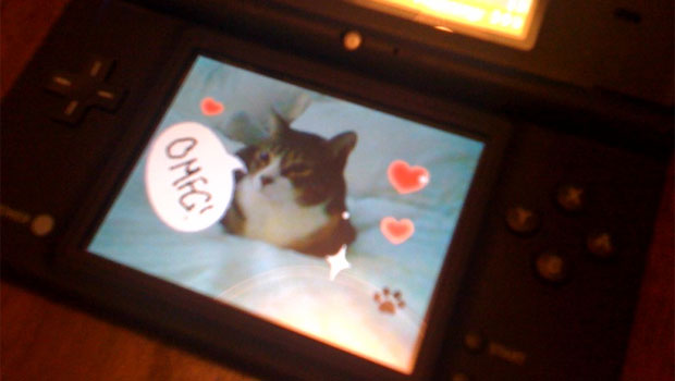 Miyamoto has a cat, but there 'won't be a Nintencats' – Destructoid