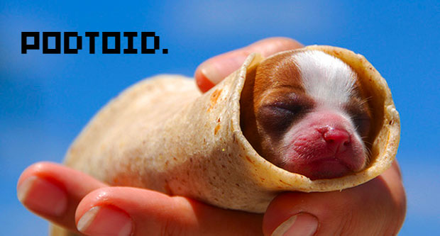 Podtoid 125 records tonight: Butts, butts, butts – Destructoid