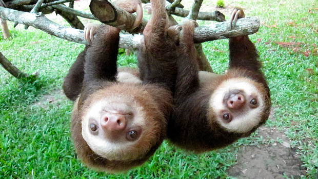 Xbox One friend list takes some cues from Twitter – Destructoid