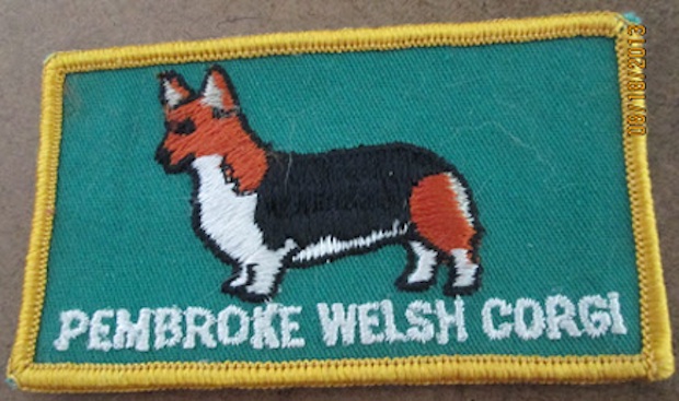 PS4's day-one patch is 300 MB, adds several features – Destructoid