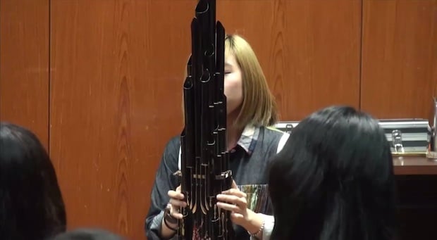 This old Chinese instrument was made for Mario music – Destructoid