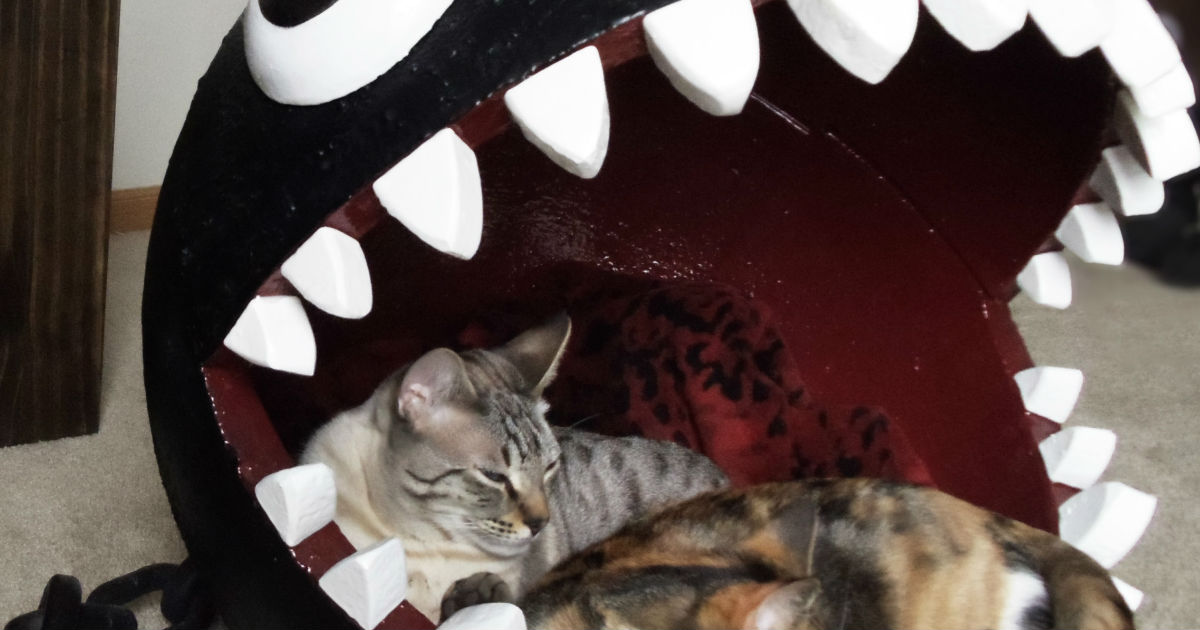 This Chain Chomp cat bed is amazing – Destructoid