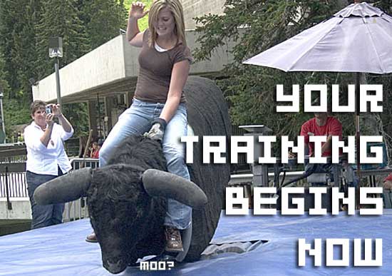 No joke: Bull riding game coming to Wii, Xbox 360, PS2, PSP, and PC ...