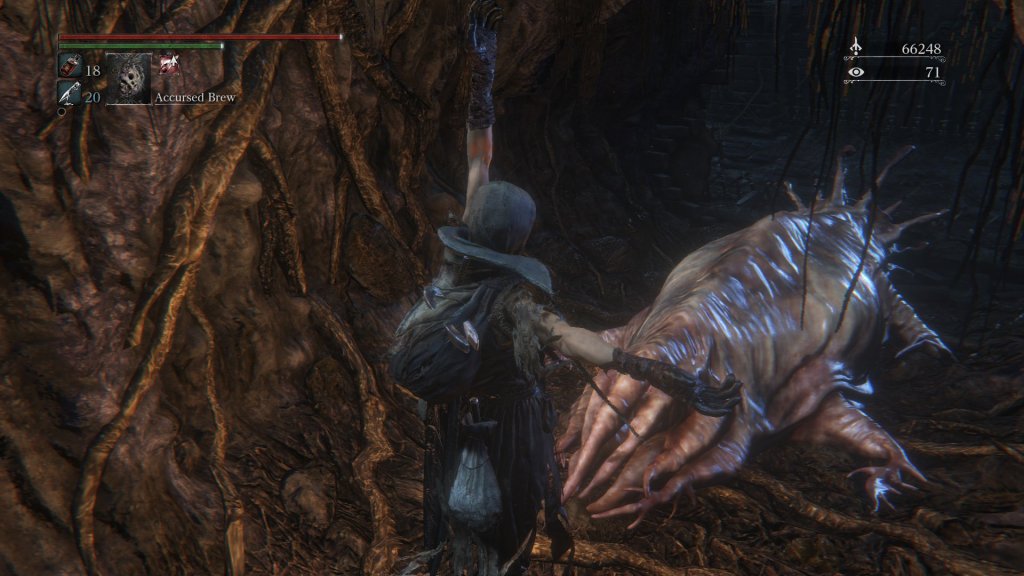 I can't believe I never knew about Bloodborne's Labyrinth Mole ...