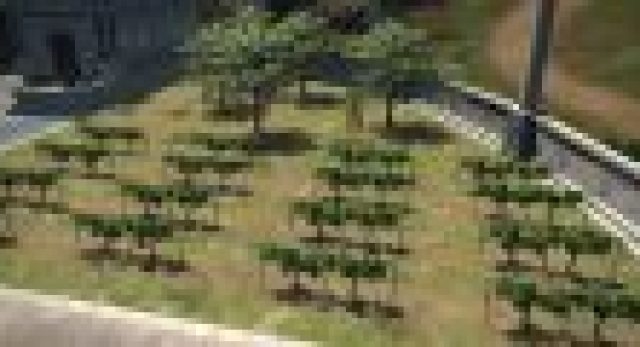 Final Fantasy XIV fixed the grapes – Destructoid