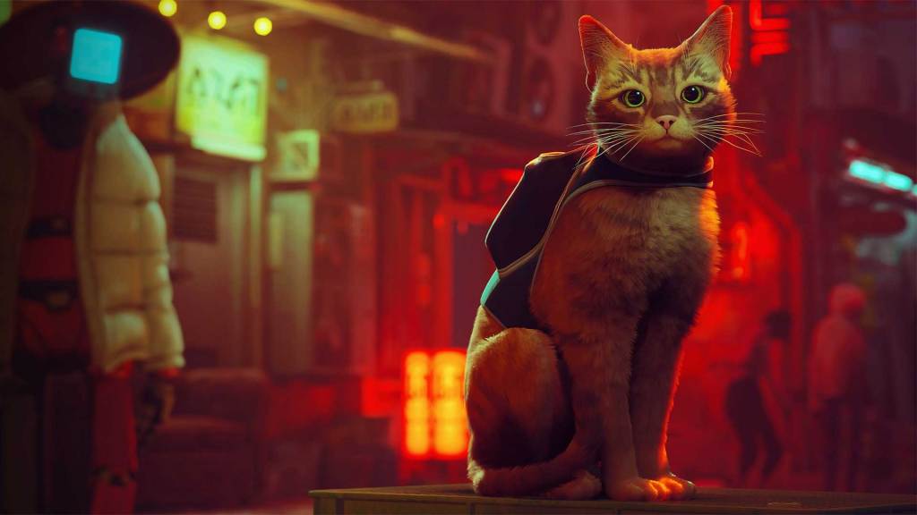 Stray is getting a physical edition in September – Destructoid