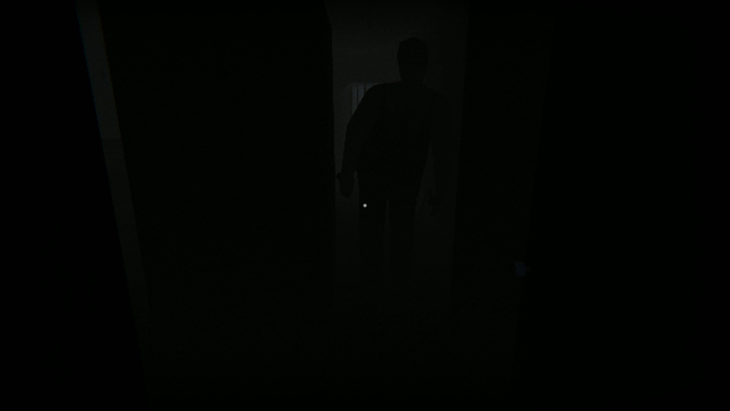 Review: Deadly Night – Destructoid