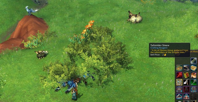 How to farm Tallstrider Sinew in WoW Dragonflight – Destructoid