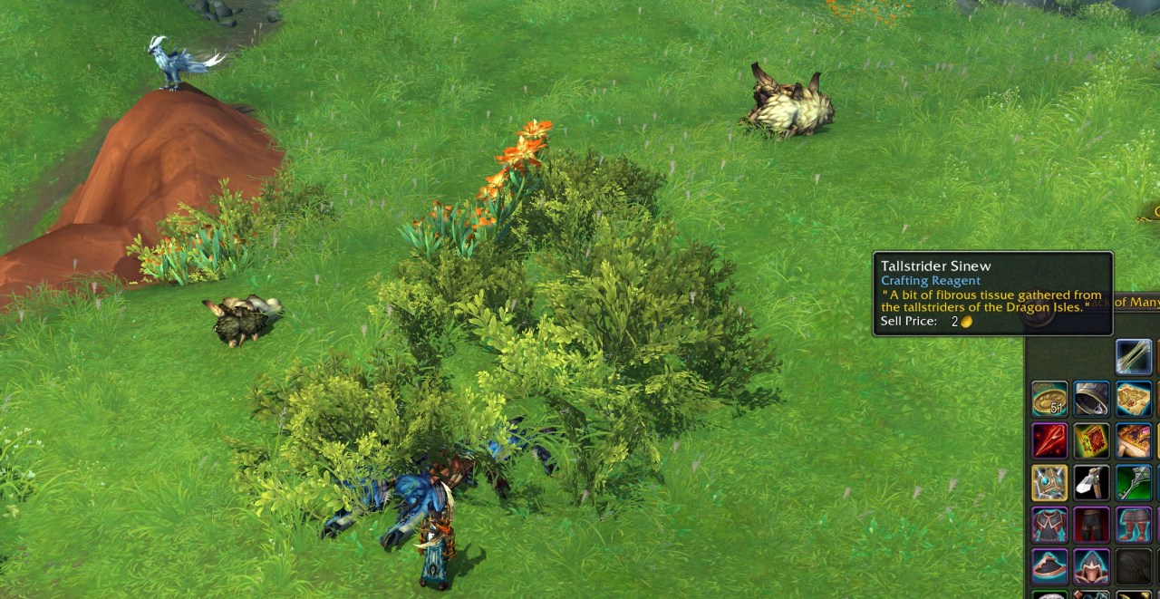How to farm Tallstrider Sinew in WoW Dragonflight – Destructoid