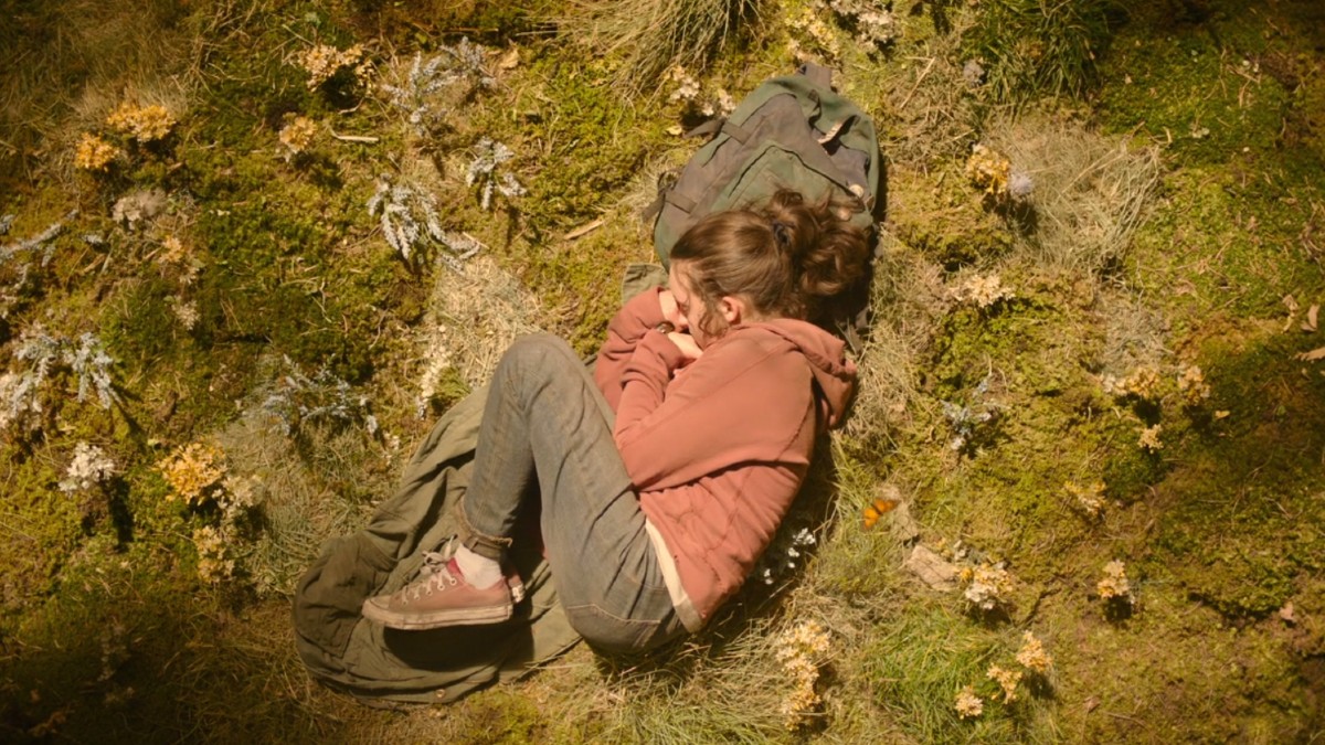 HBO's The Last of Us has been renewed for a second season – Destructoid