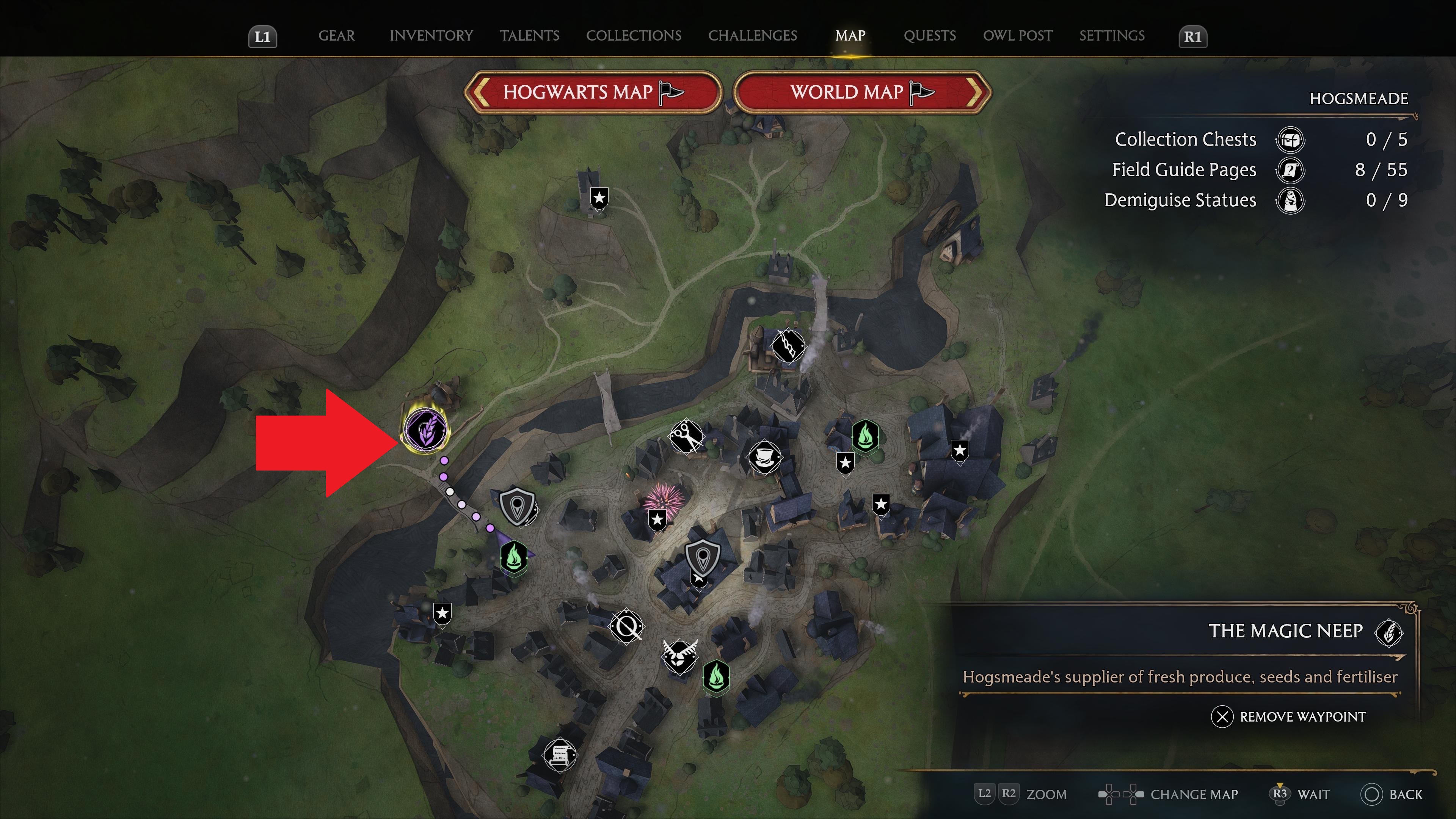 Magic Neep shop location & item stock in Hogwarts Legacy