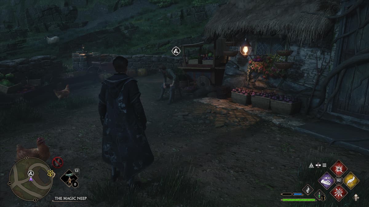 Magic Neep shop location & item stock in Hogwarts Legacy