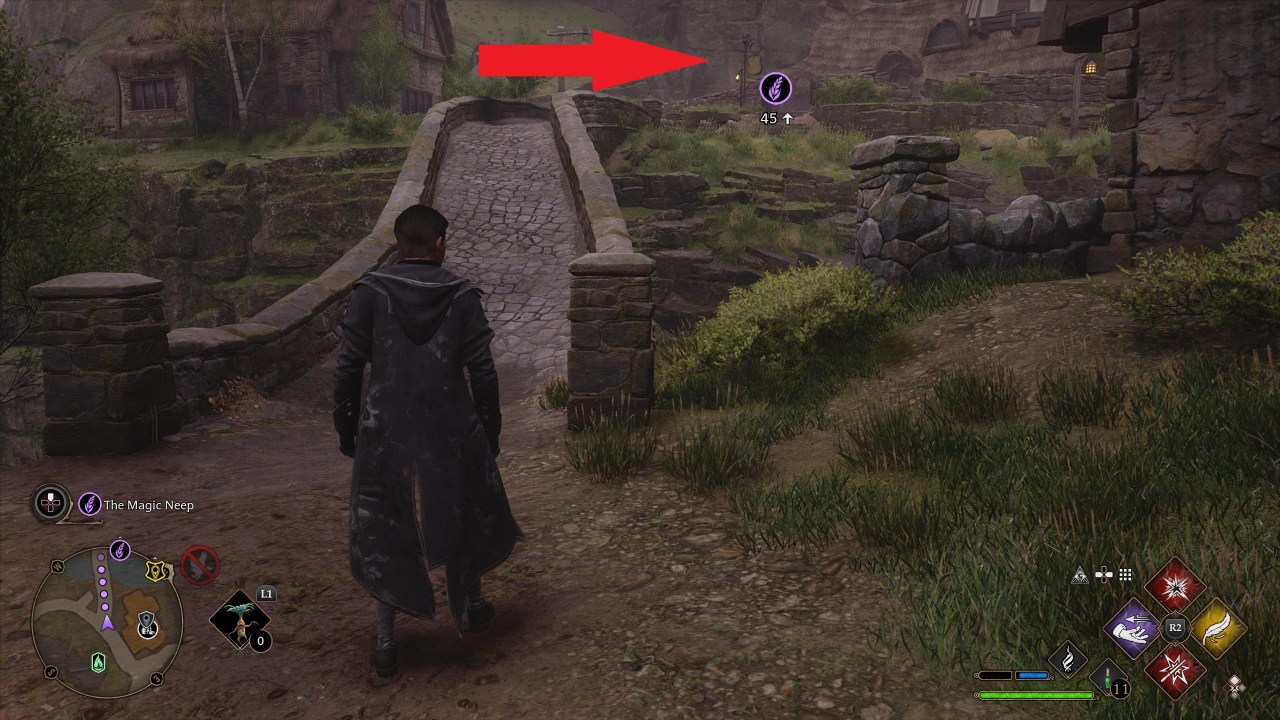 Magic Neep shop location & item stock in Hogwarts Legacy