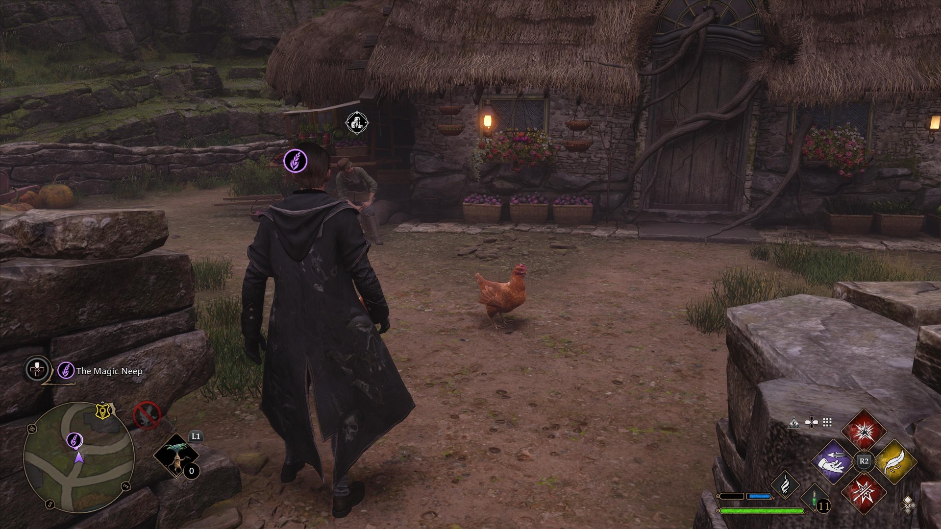 Magic Neep shop location & item stock in Hogwarts Legacy