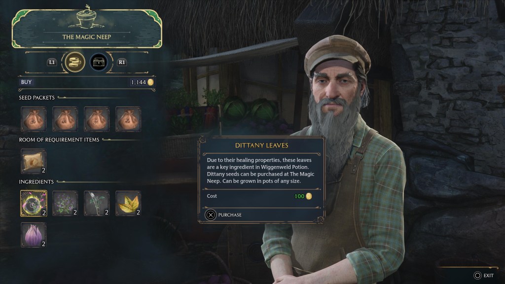 Magic Neep shop location & item stock in Hogwarts Legacy