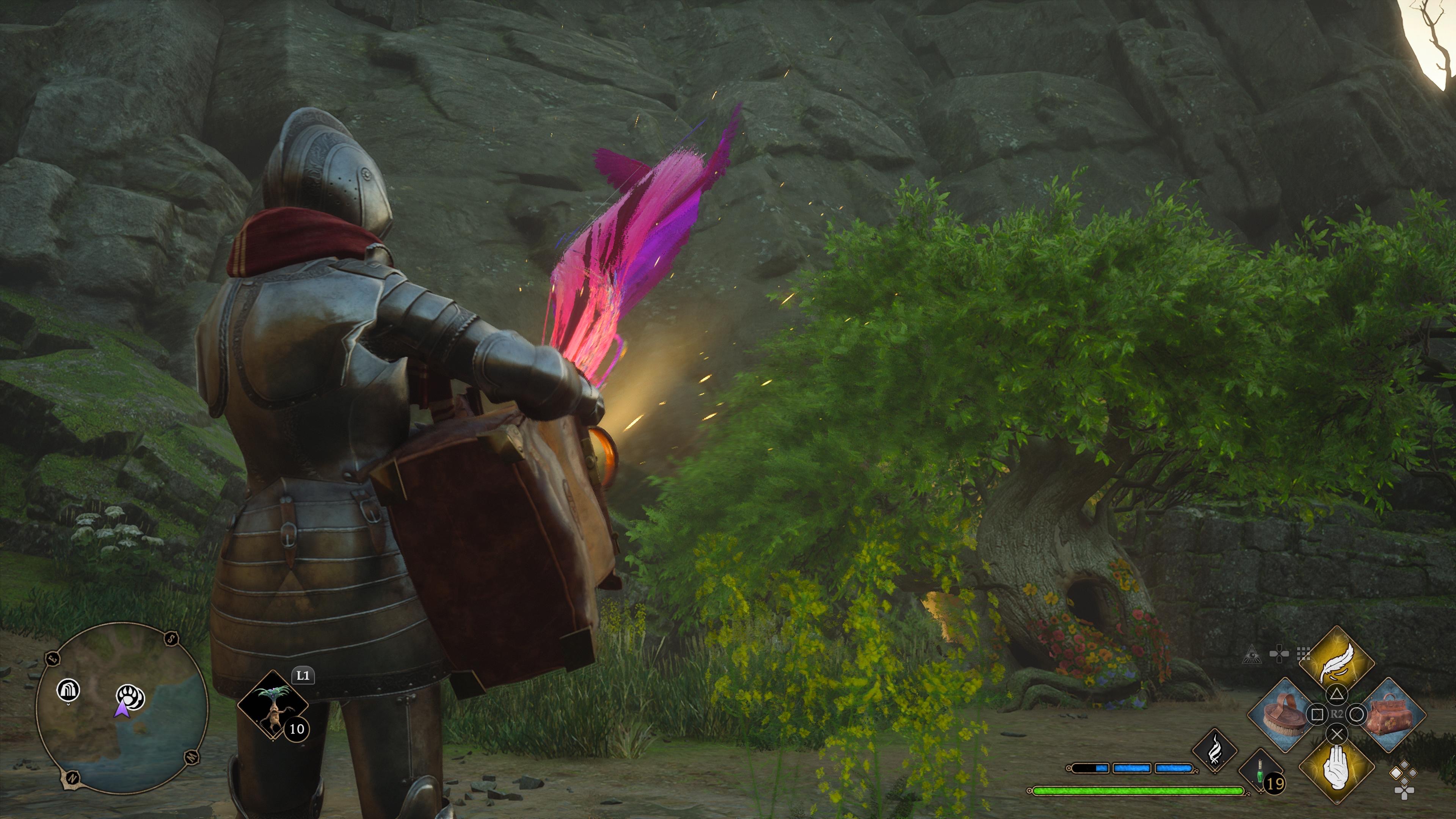 Where to find a Fwooper in Hogwarts Legacy