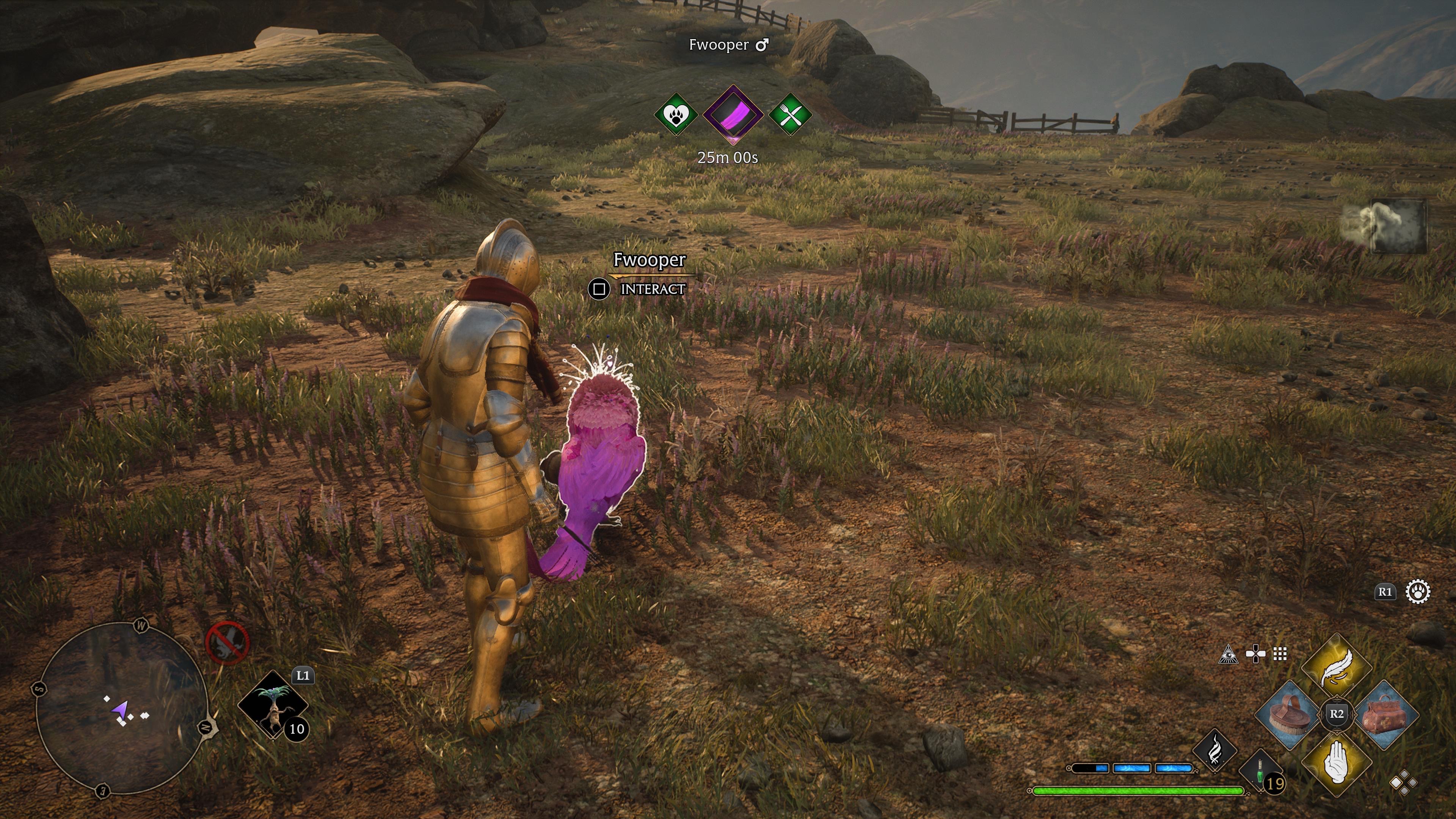 Where to find a Fwooper in Hogwarts Legacy