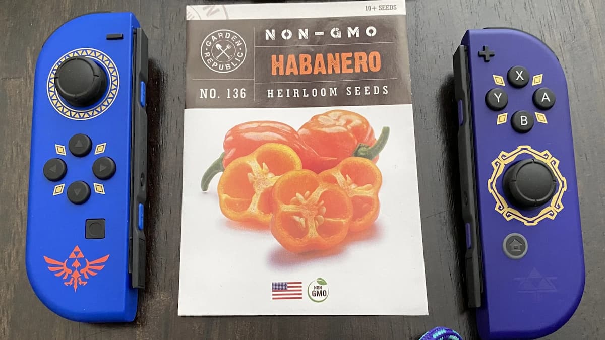 March 13 Nintendo maintenance schedule and downtime info