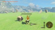 How Many Korok Seeds Are In Tears Of The Kingdom TotK Destructoid