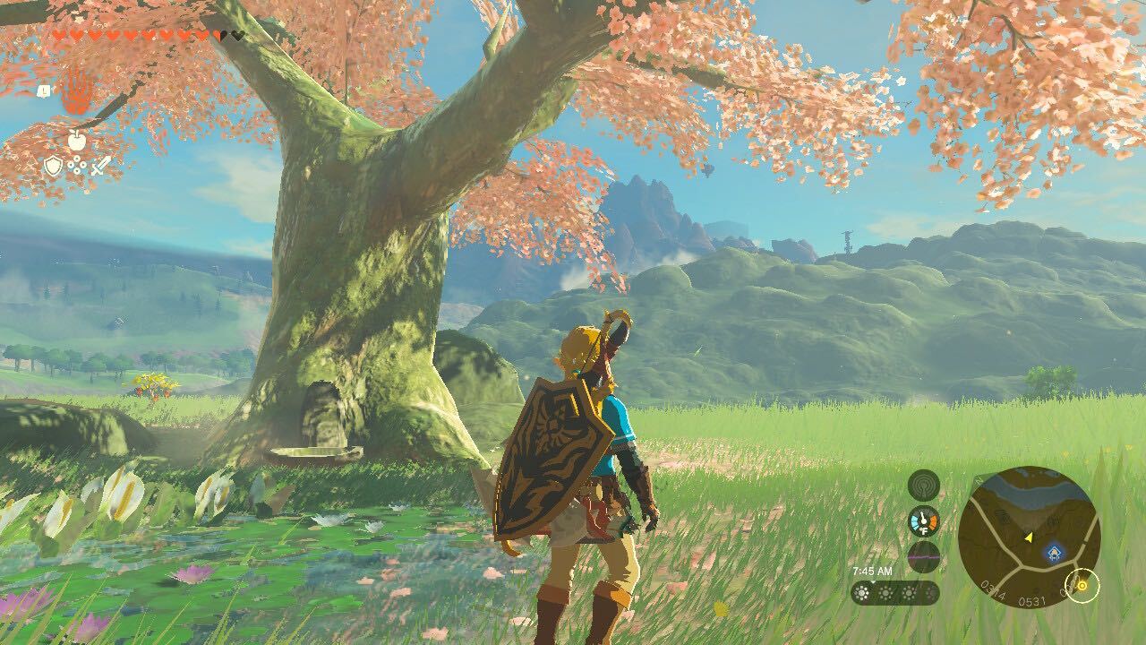 All Cherry Blossom tree locations & directions Tears of the Kingdom (TotK)