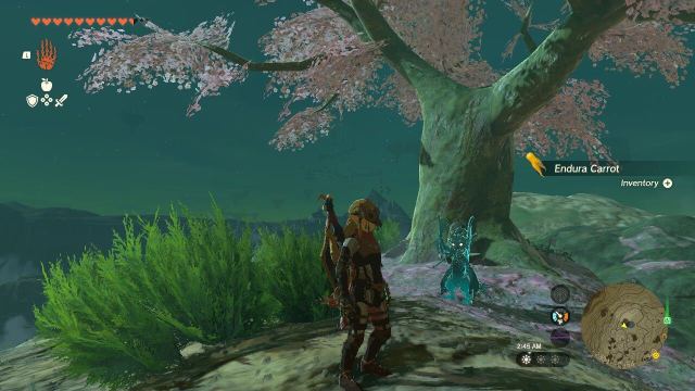 All Cherry Blossom tree locations & directions Tears of the Kingdom (TotK)