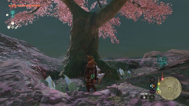 All Cherry Blossom tree locations & directions Tears of the Kingdom (TotK)