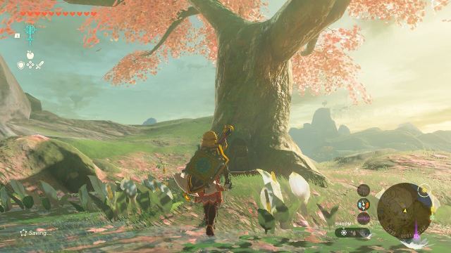All Cherry Blossom tree locations & directions Tears of the Kingdom (TotK)