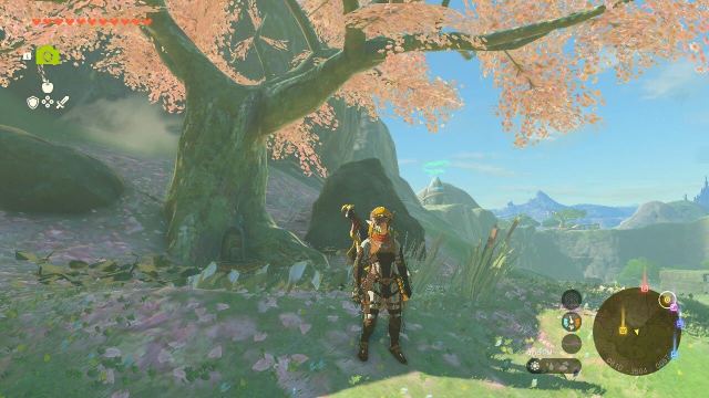 All Cherry Blossom tree locations & directions Tears of the Kingdom (TotK)