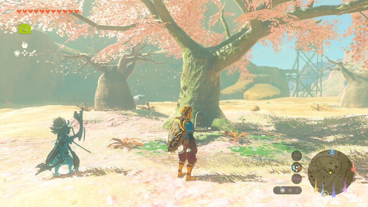 All Cherry Blossom tree locations & directions Tears of the Kingdom (TotK)