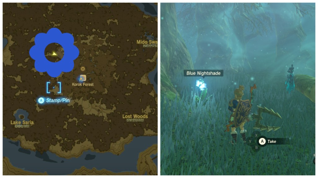 Where to find Blue Nightshade in Tears of the Kingdom (Totk)
