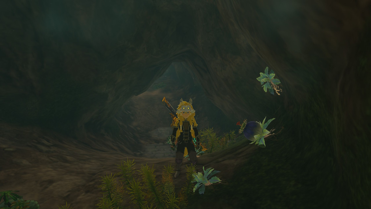 Best Bomb Flower farming locations in Tears of the Kingdom (TotK)