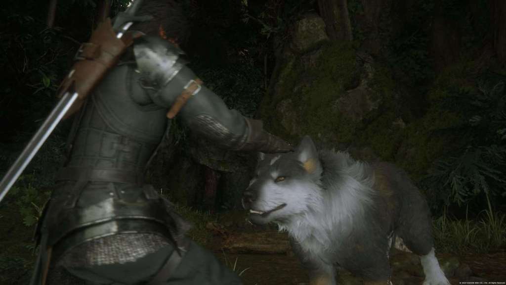 Can you pet the dog in Final Fantasy XVI? (FF16)
