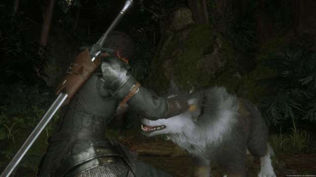 Can you pet the dog in Final Fantasy XVI? (FF16)