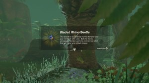Where to find Bladed Rhino Beetles in Tears of the Kingdom (TotK)
