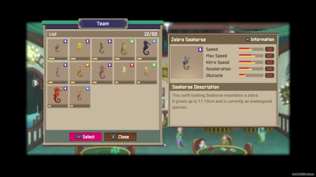 How to race seahorses in Dave the Diver