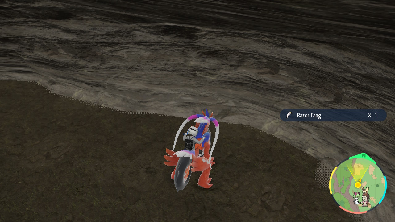 How to get Razor Fang in the Pokemon Scarlet & Violet Teal Mask DLC