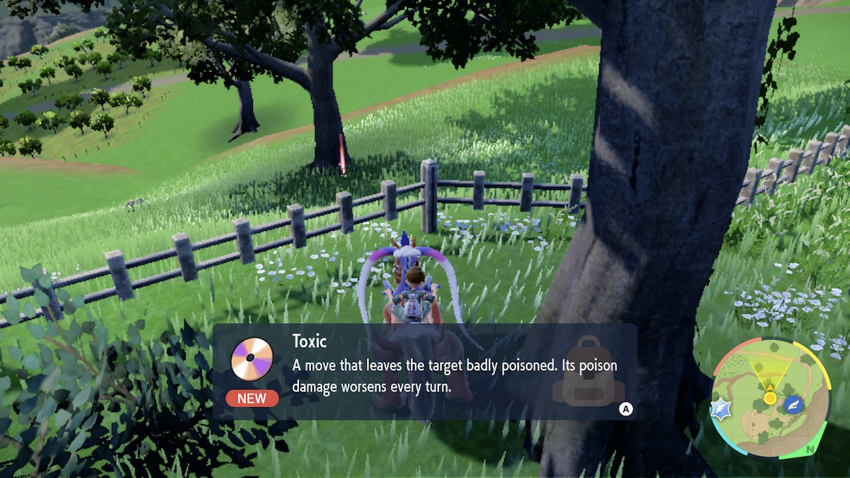 Where to find Toxic TM 175 in Pokemon Scarlet & Violet – Destructoid