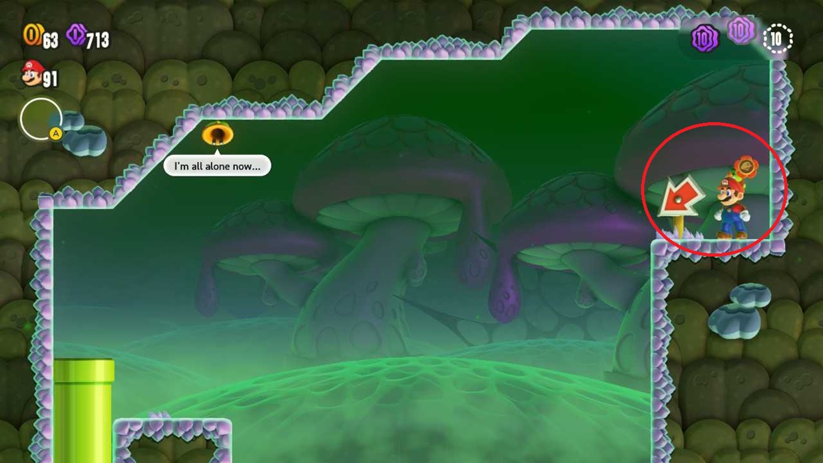 Taily's Toxic Pond all secrets in Super Mario Bros. Wonder