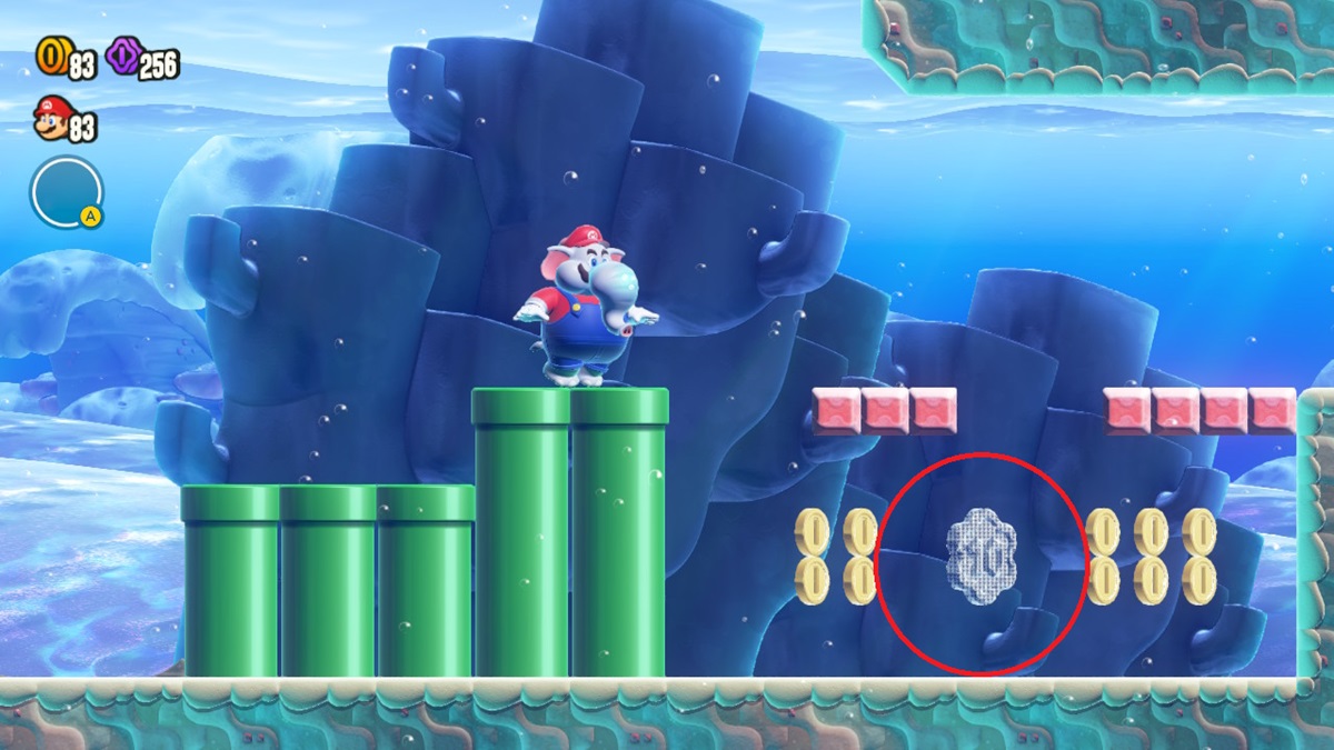 Leaping Smackerel all secrets in Super Mario Bros. Wonder – Destructoid