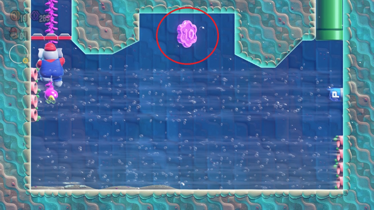 Leaping Smackerel all secrets in Super Mario Bros. Wonder – Destructoid