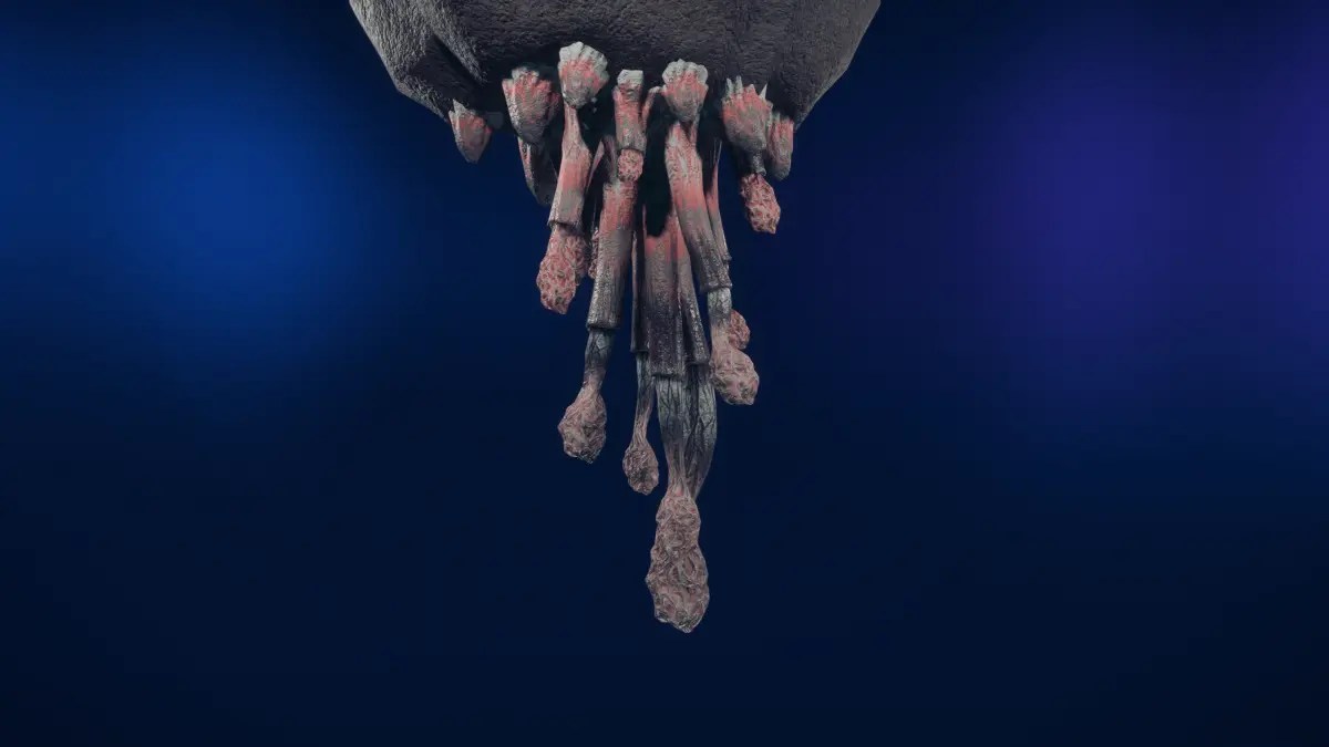 Where to find Pale Vineshrooms in Avatar: Frontiers of Pandora