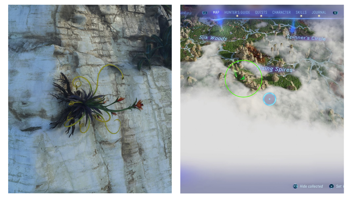 Where to find Blaze Fruit in Avatar: Frontiers of Pandora