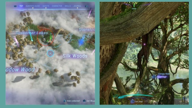 Where to find a Canopy Root in Avatar: Frontiers of Pandora