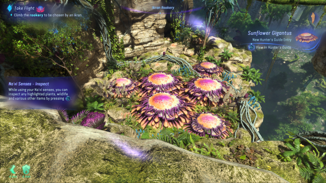 How to get the Ikran mount in Avatar: FoP