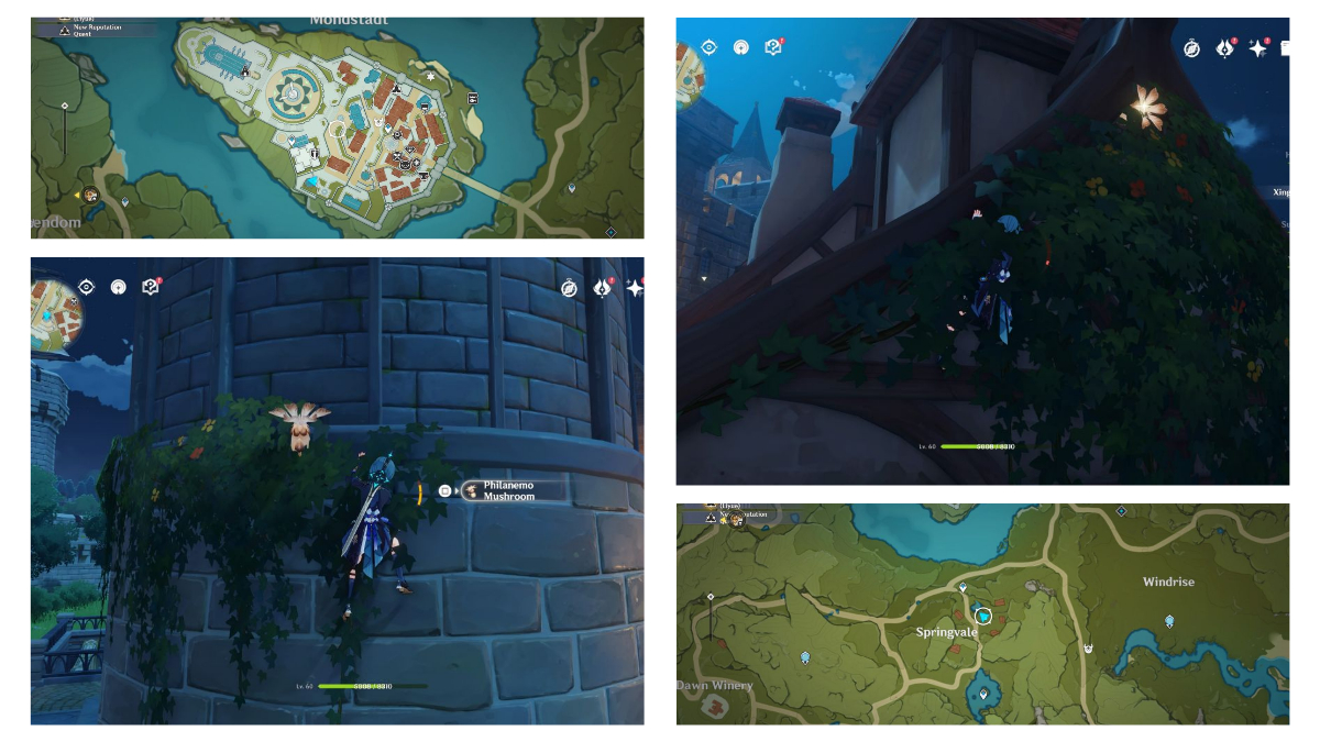 Where to find Philanemo Mushrooms in Genshin Impact
