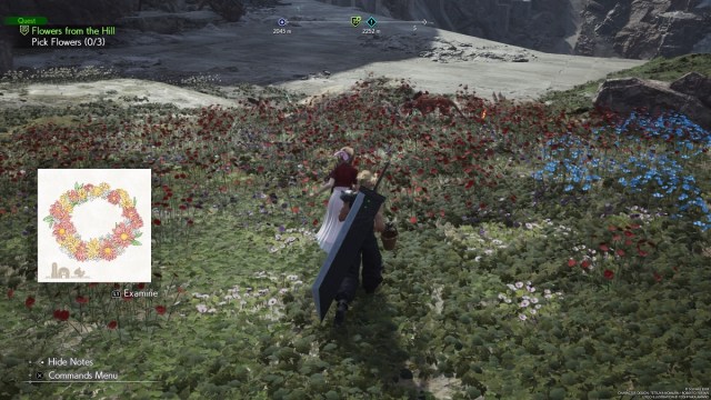 How to fully complete Chloe's flower crown in FF7 Rebirth's Flowers ...