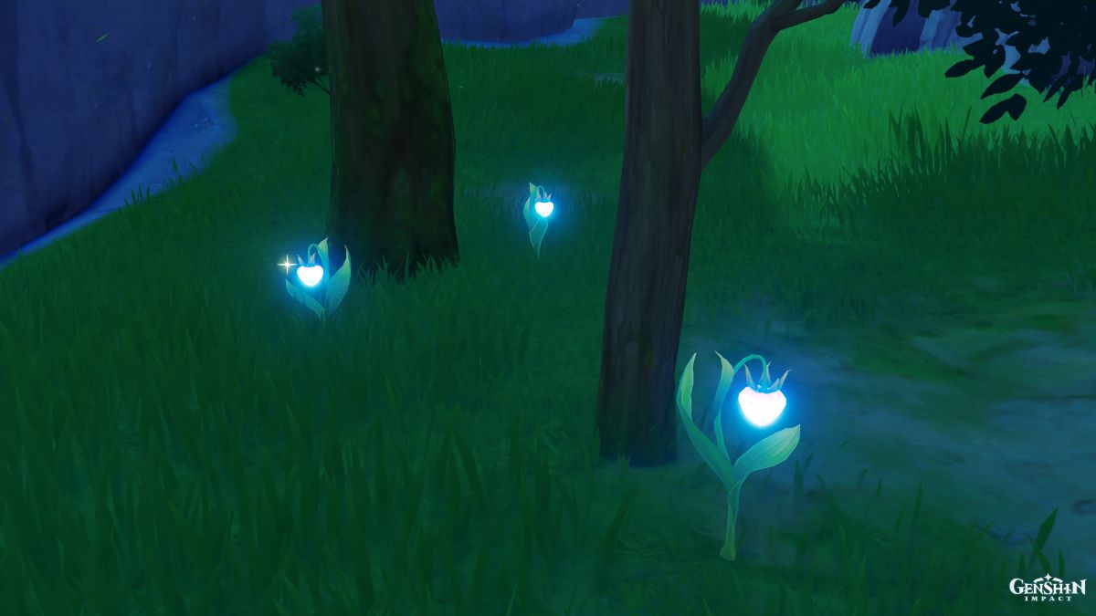 Where to find Small Lamp Grass in Genshin Impact
