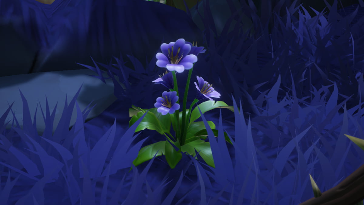 How to find Purple Impatiens in Disney Dreamlight Valley