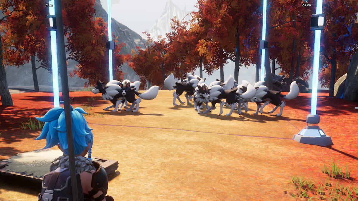 How to unlock and use the Viewing Cage in Palworld – Destructoid