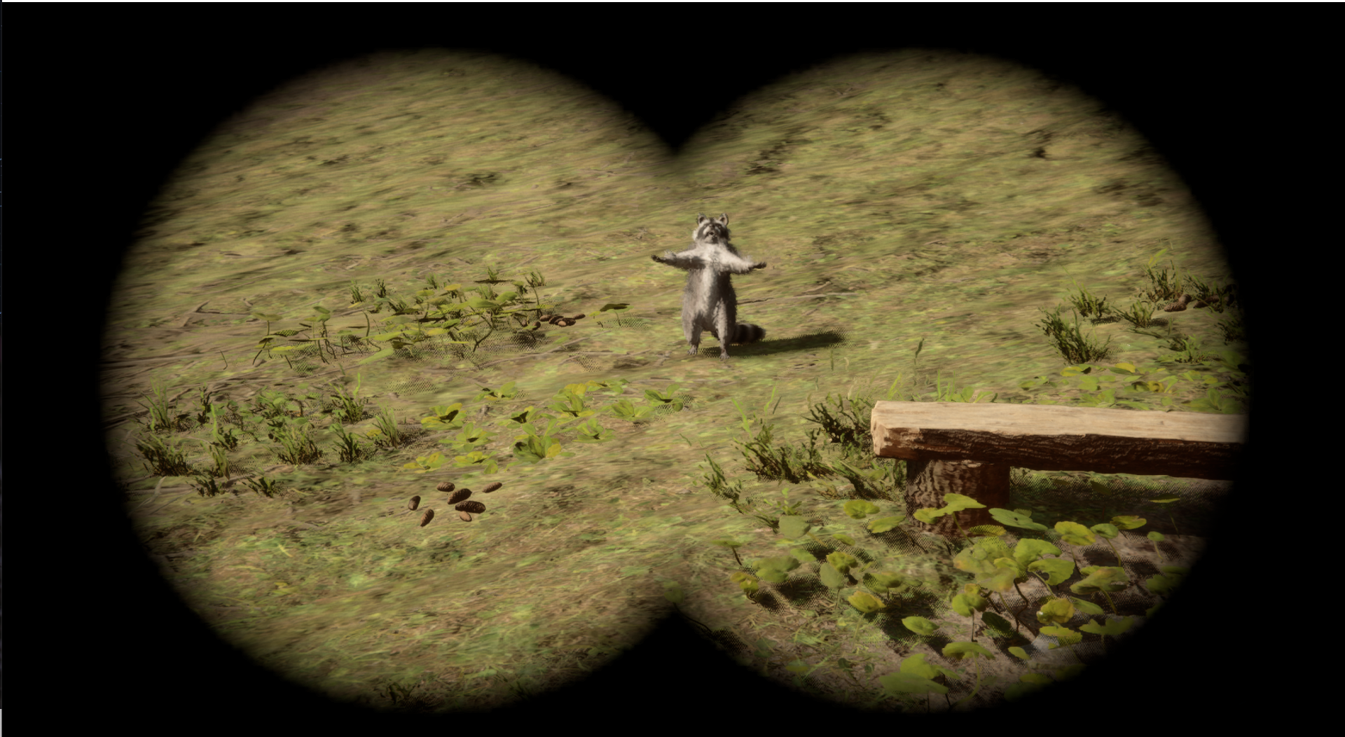 Where to find Raccoons in Sons of the Forest – Destructoid